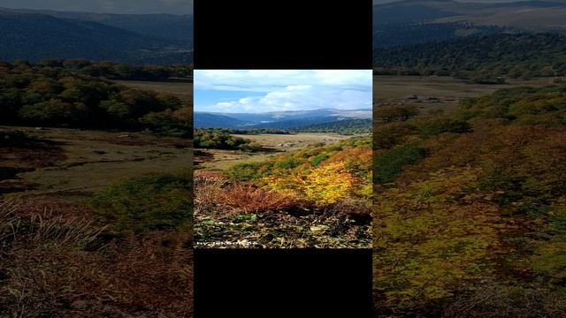 Перевал Пыв. Абхазия 2023 октябрь.