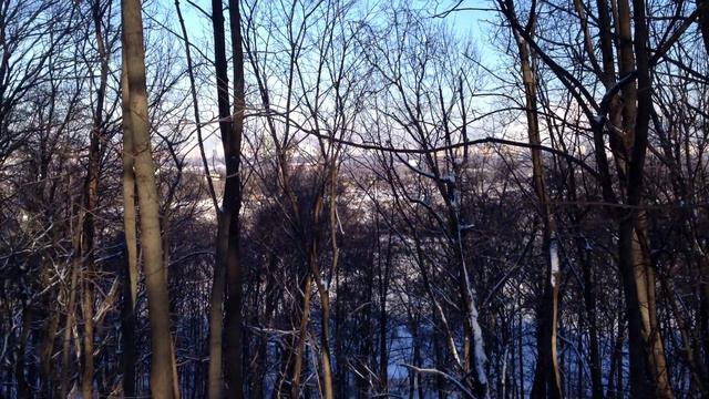 Кунцевское городище зимой