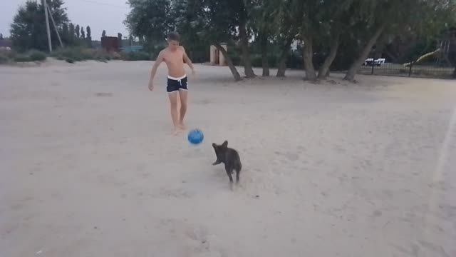 Как мы в футбол играли с собакой:)