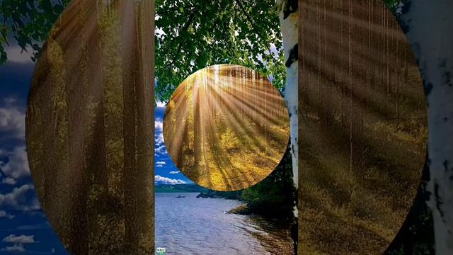 Доброго утра. Хорошего дня