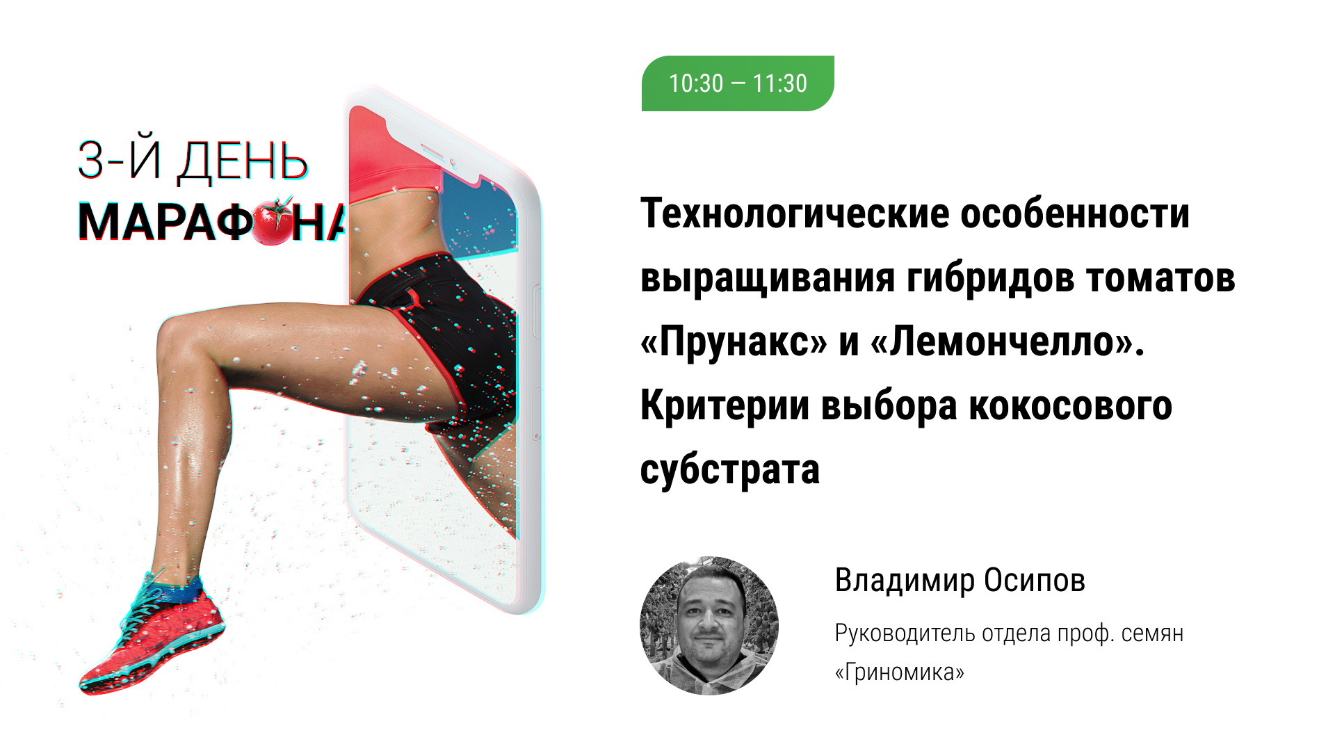 ? Технологические особенности выращивания гибридов томата «Прунакс», «Лемончелло». Выбор субстрата