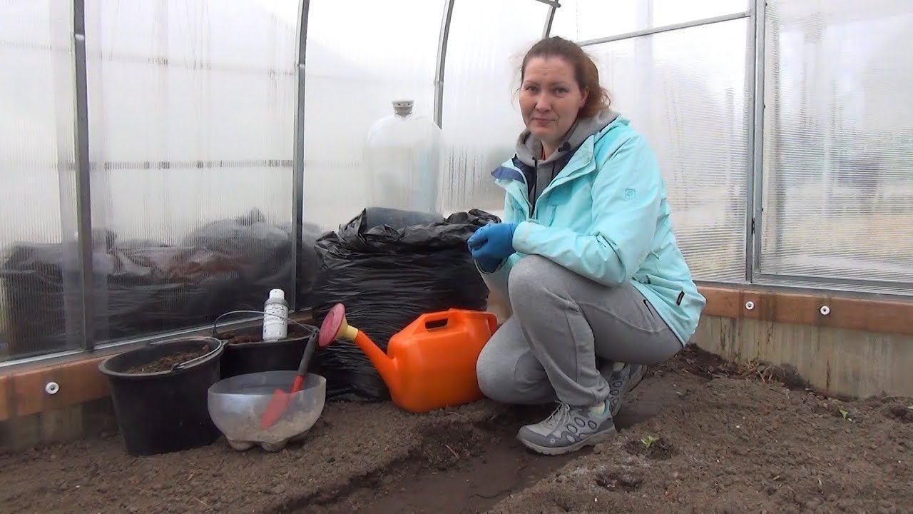 Быстрый компост для кабачков и других теплолюбивых культур