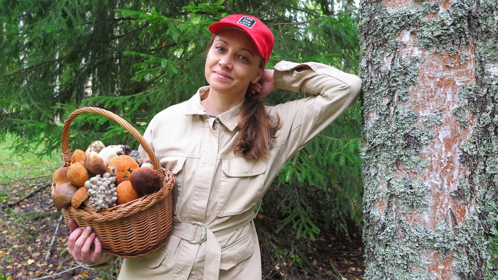 ГРИБЫ ВЫДЕРНУТЫЕ С "КОРНЕМ" – это не влияет на грибницу (видеодоказательства с 7 - 14 минуту видео)