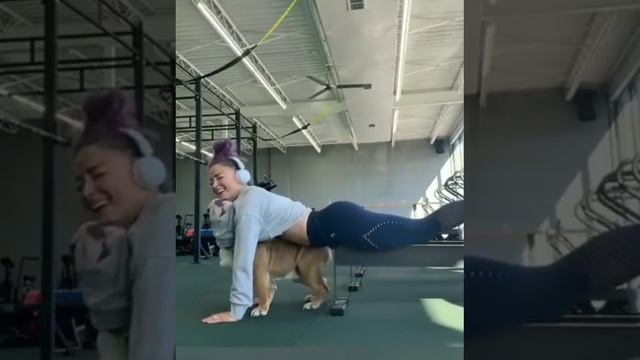 Смешные животные | И я так хочу:))#shorts