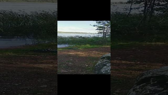 Палаточный городок ?️