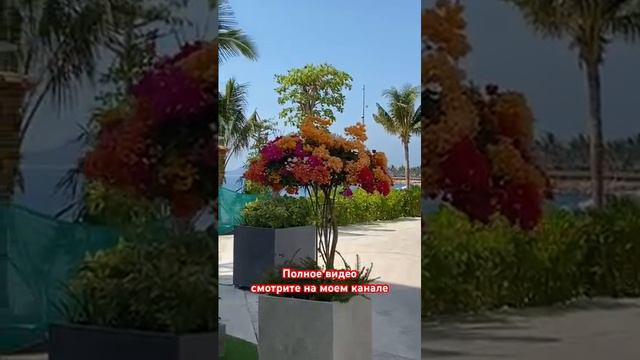 Отличное место для фотосессий. DO TEATER.