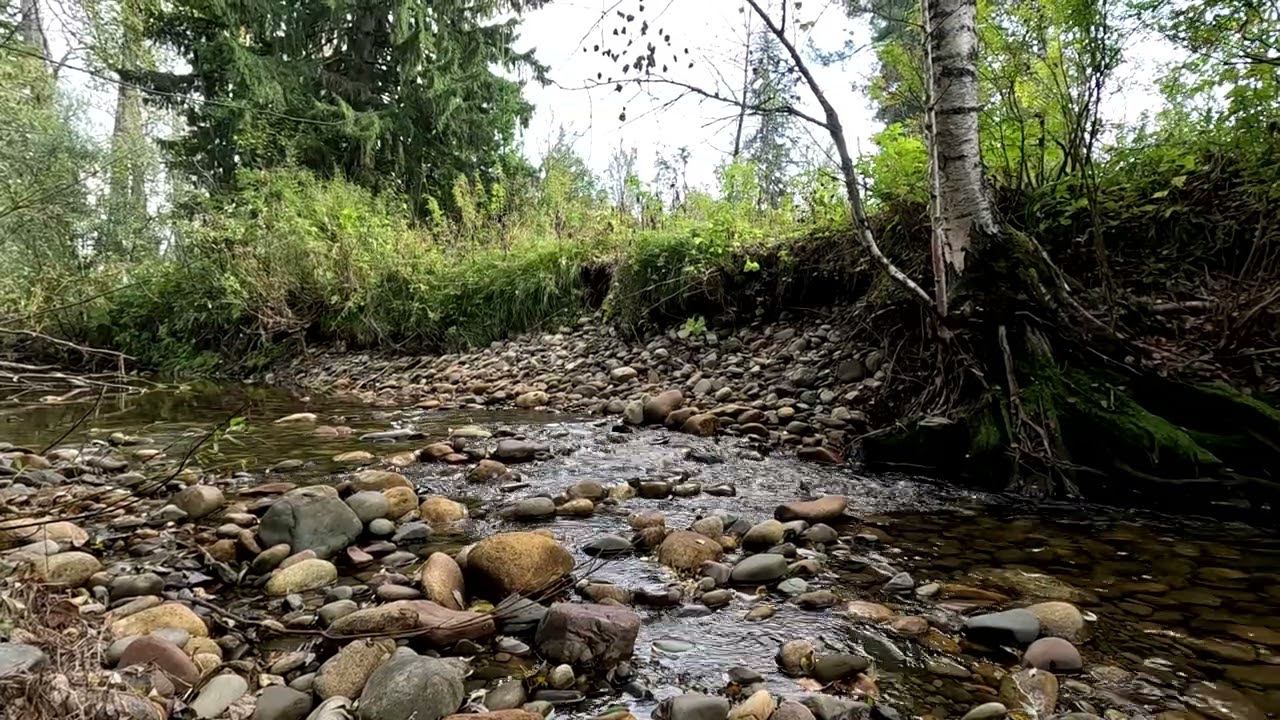 лучшее время на природе