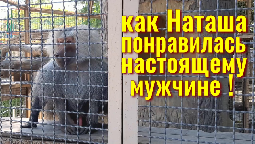 ЮМОР !!! Как Наташа понравилась Настоящему МУЖЧИНЕ! Смешной, Прикольный ролик, снятый в Зоопарке с О