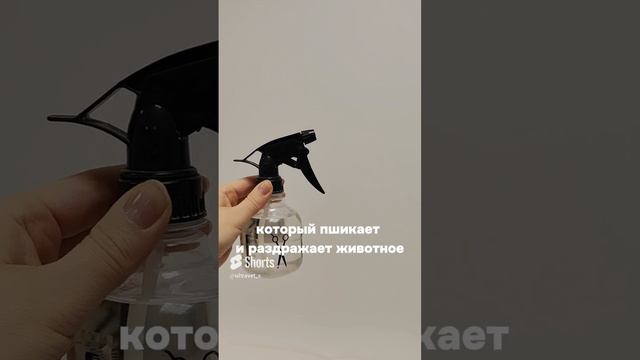 Как уменьшить стресс на УЗИ | УЗИ животным  #ветврач #ultrasound #veterinarian