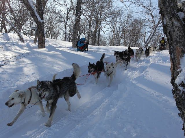 Берингия 2014. Дневник - 2