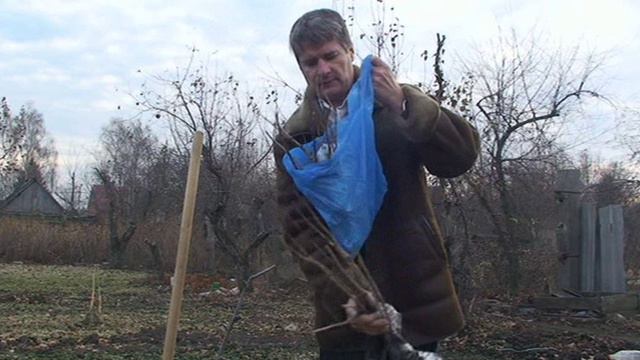 Отзыв №1 об интернет-магазине sad-i-ogorod.ru (Сад и огород от НПО Сады России)