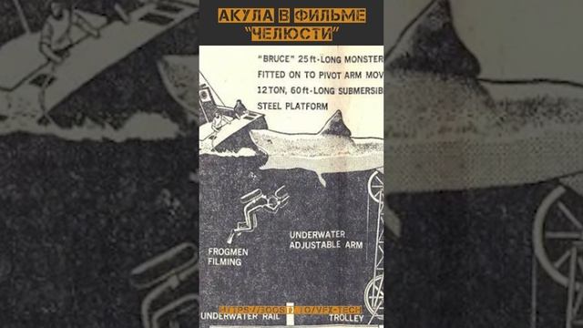 АКУЛА В ФИЛЬМЕ "ЧЕЛЮСТИ". КАК ЕЕ СДЕЛАЛИ