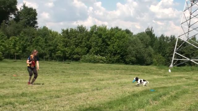 Захватывающие диски Полина и Бирюса.mp4