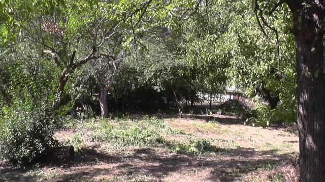 Показываю результаты работы, лень матушка (СЕРИАЛ-СЕПТИК 10 серия)