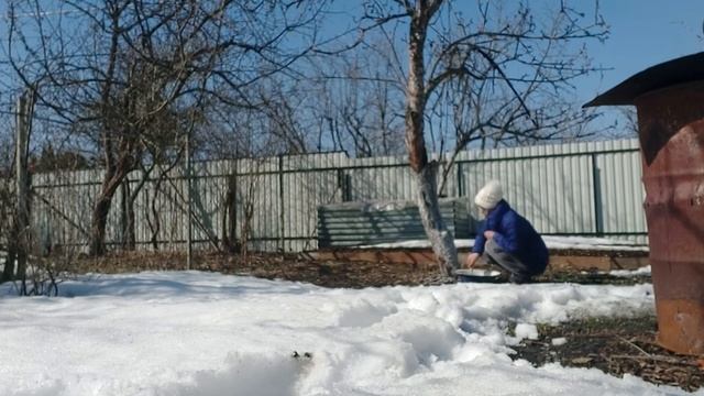 Дизайн дачного участка.  Крашу деревья.