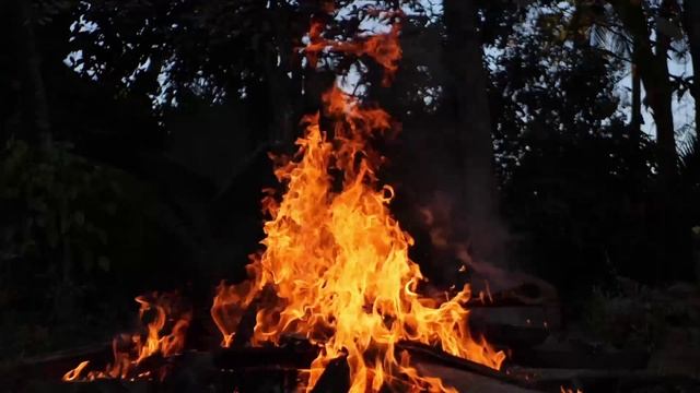 Спокойная летняя ночь в лесу около горящего костра, АСМР. Приятные звуки природы.