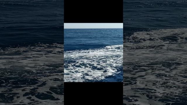 Экскурсия на яхте по Красному морю. Египет. Июль 2023.