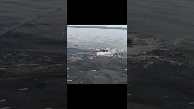 Рыбалка с гидом. Свеча