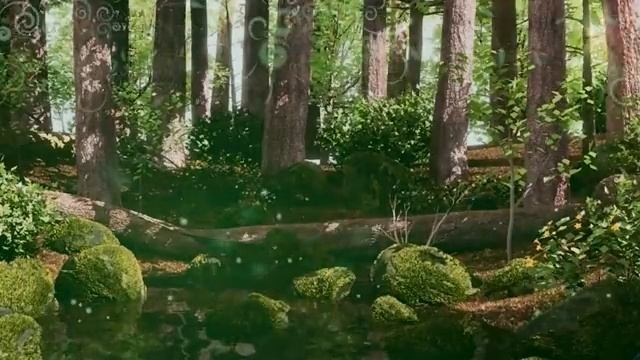 Лесной ручей и волшебные гусли слушать 30 минут ? Целительная музыка для сна и