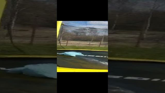 ОТЗЫВ НА БАТУТ KOENIGSMANN T-10 / КАРКАСНЫЙ БАТУТ С ЗАЩИТНОЙ СЕТКОЙ ДЛЯ ВЗРОСЛЫХ И ДЕТЕЙ / ОТЗЫВ