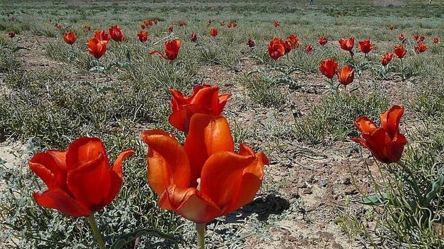 Военные рассказы