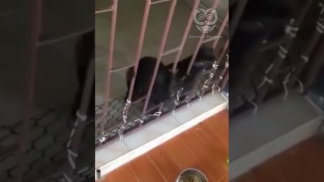 Помощь другу.