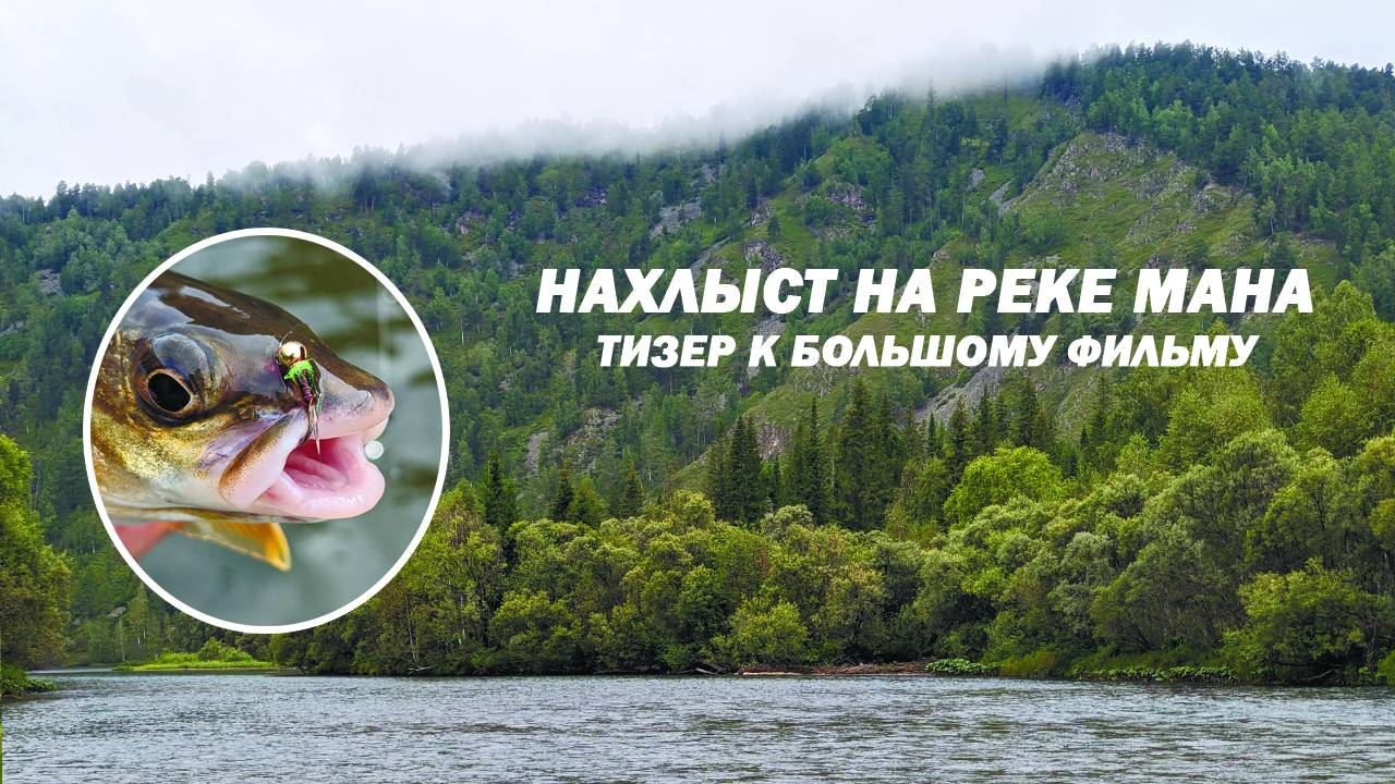 Тизер. Нахлыст на реке Мана.
