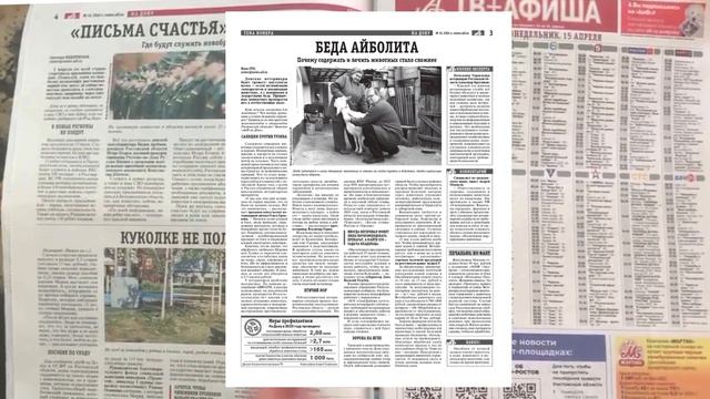 Обзор очередного выпуска "Аргументы и факты на Дону" №15