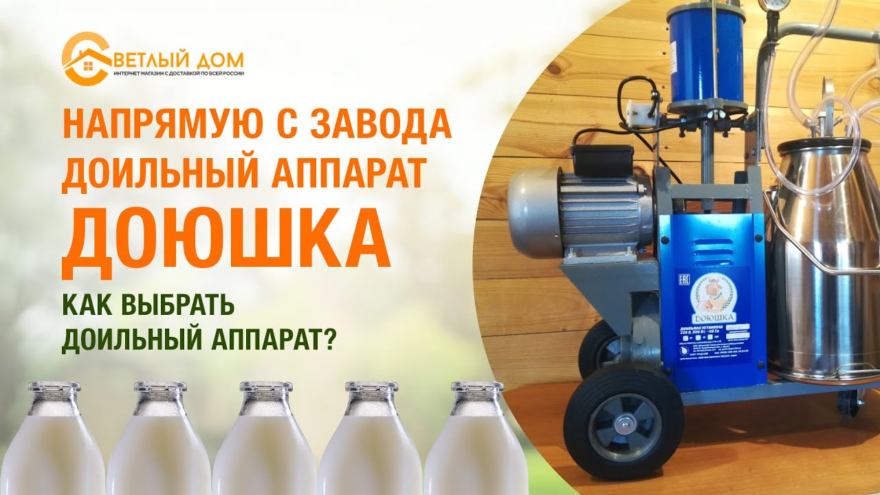 Доильный аппарат Доюшка. Как выбрать домашний доильный аппарат? Профессиональный обзор