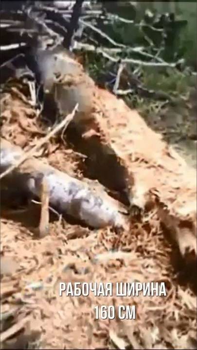 Мульчер Forster UM. Режем 35 см #мульчер #измельчитель