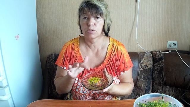 Не хуже Прованских трав. Заготовка Сибирской пряности.