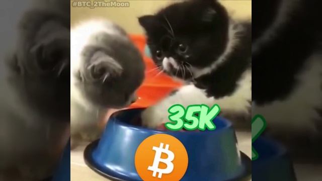 Никаких вам Биткоинов по 35k