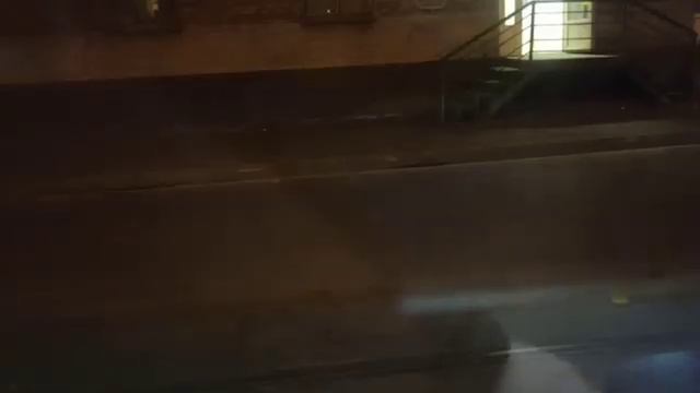 Сериал ИМРК 380 — Поездки в общественном транспорте