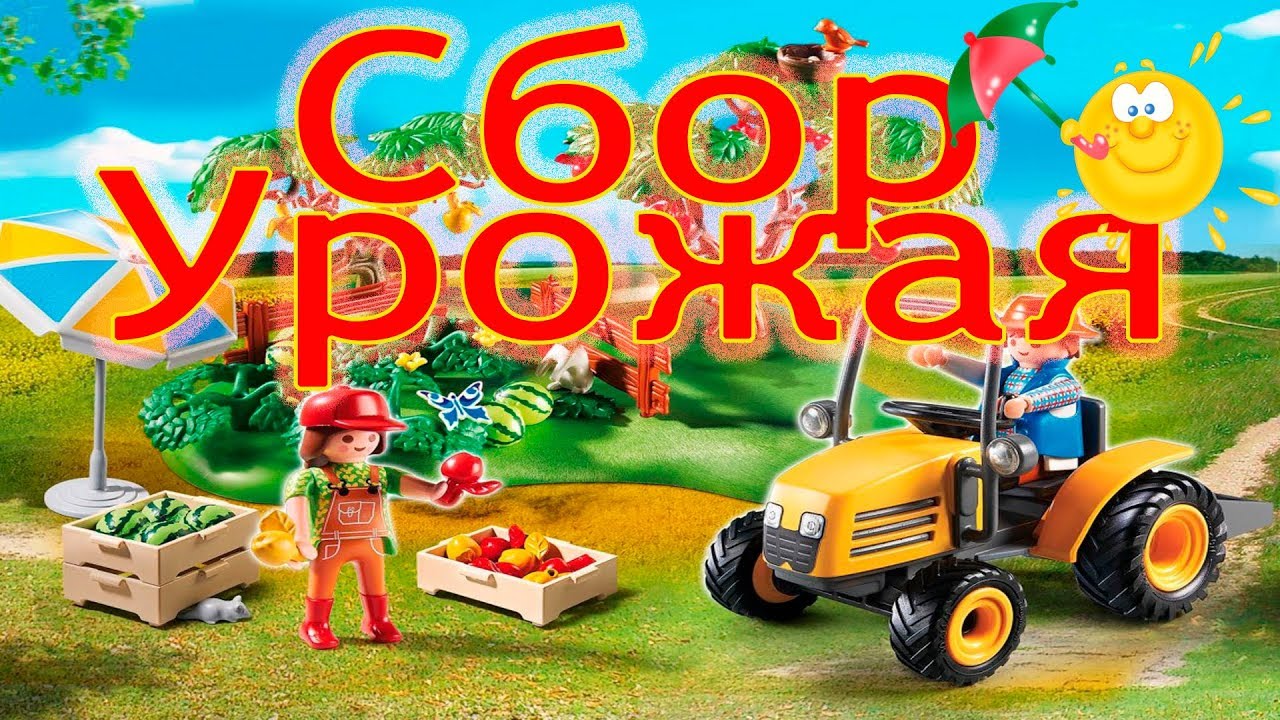 Сбор Урожая. Орехи Сливы Кабачки Грибы Цветы