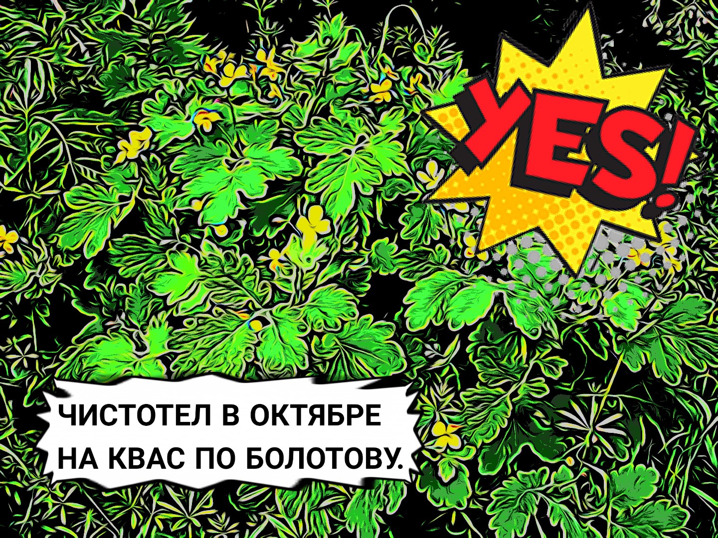 ОСЕННИЙ ЧИСТОТЕЛ ДЛЯ КВАСА ПО БОЛОТОВУ