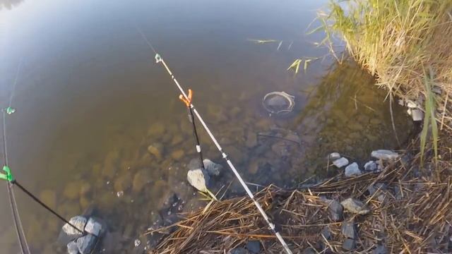 Ловля крупных карасей на пенопласт.