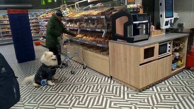 Позирует хороший мальчик