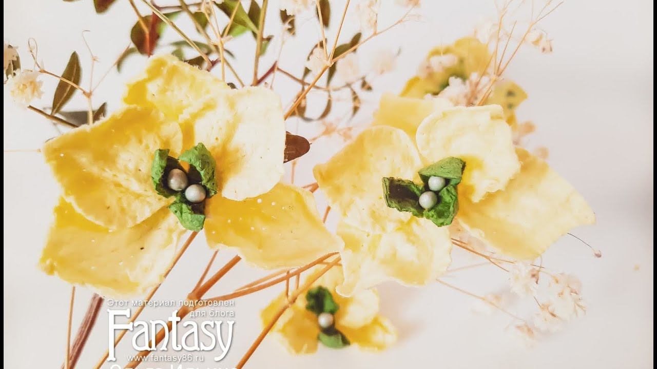 #dies_Fantasy DIY Мастер класс Цветы орхидеи step by step tutorial Orchid flowers