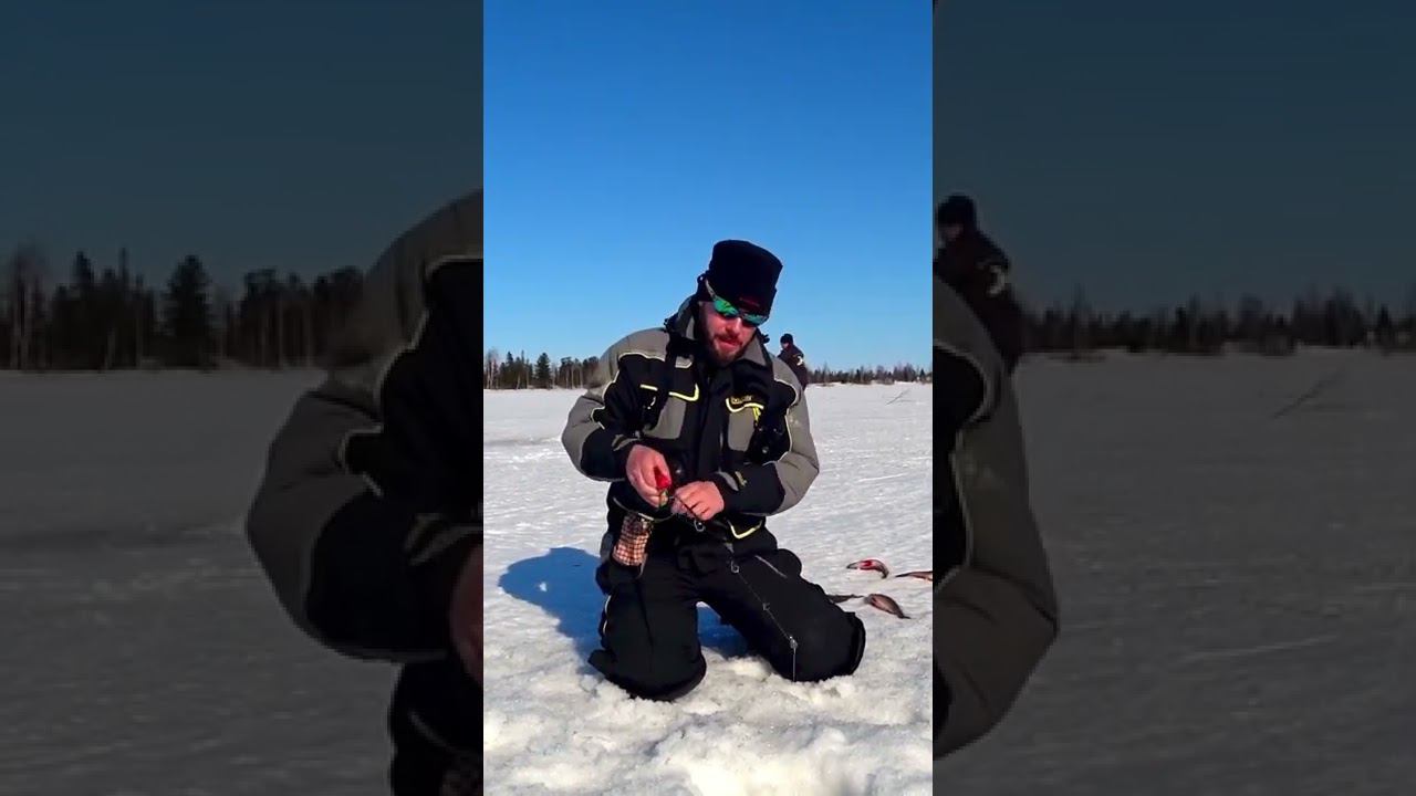 Очевидно, что щука #short #shorts