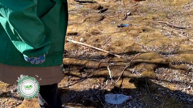 Экокор 13: субботник в квартале А