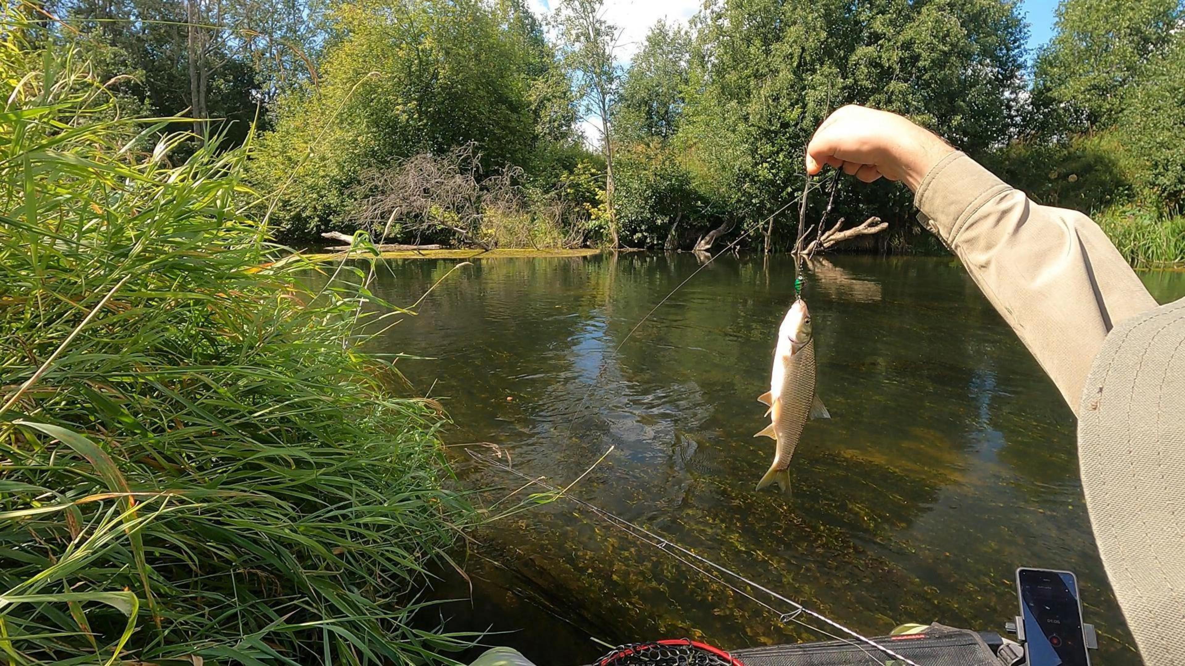 Верховья в августе