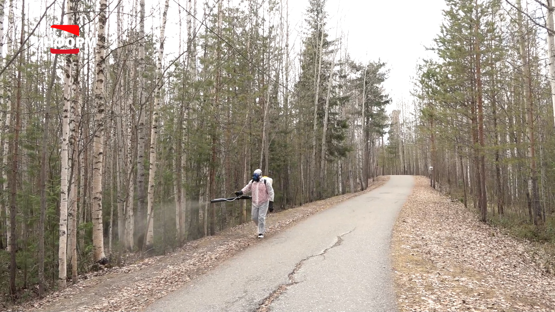 Обработка городских территорий от клещей