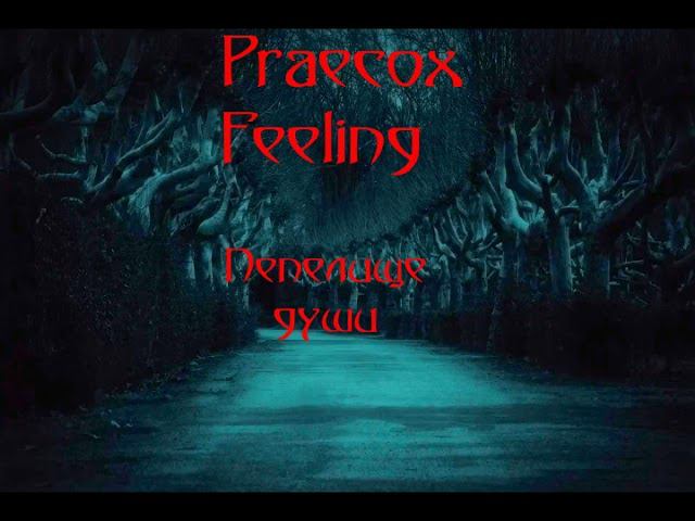 Praecox Feeling-Тень за спиною