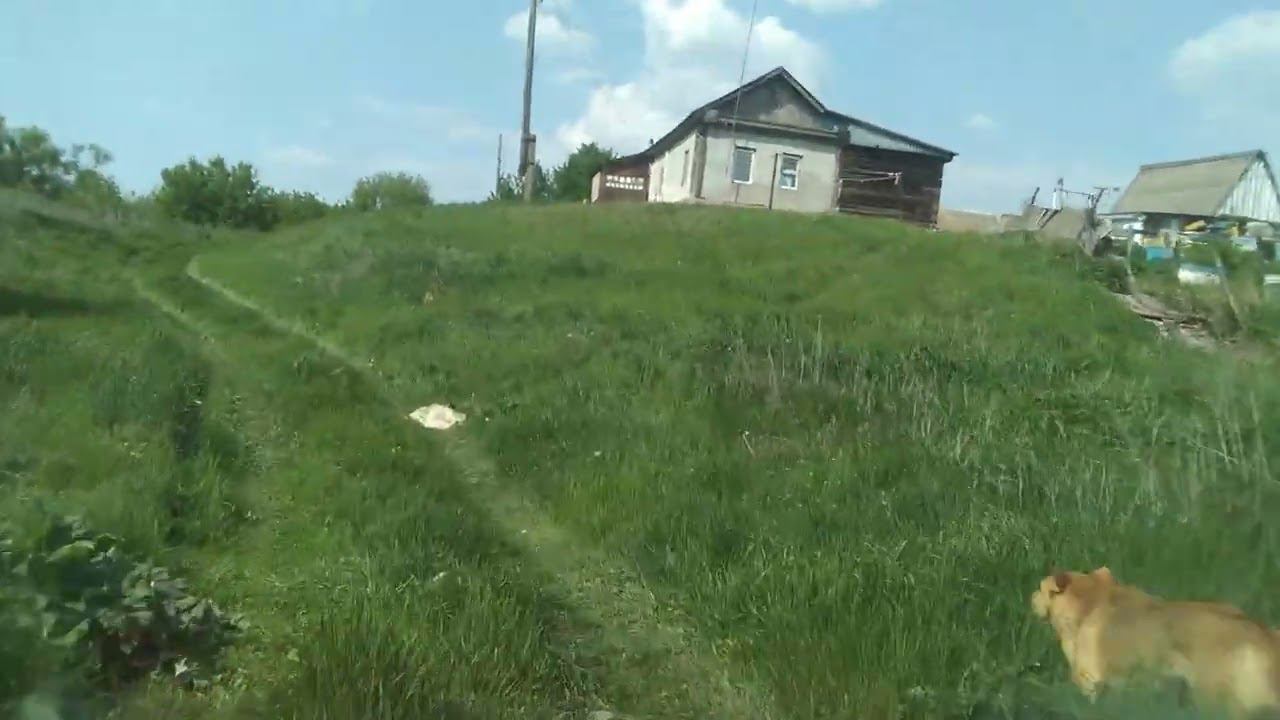 Деревня Драгуновка, Ртищевский район.