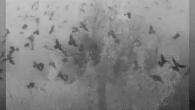 2020 год Вокальная студия"Орфей"