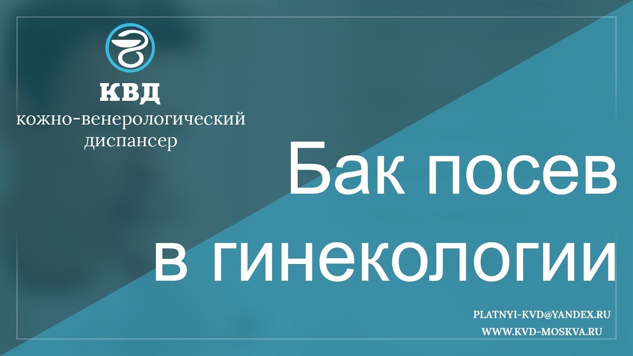 505  Бак посев в гинекологии