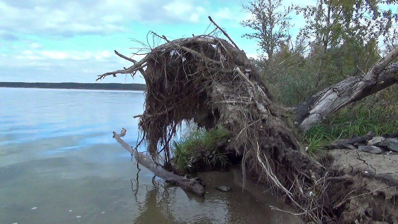 Обское море. От Береговой до Шлюза