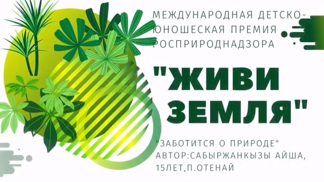 Береги природу - и она сбережёт тебя