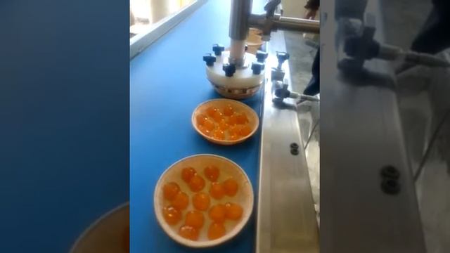 Кондитерский депозитор MULTIFILLER с насадкой  подсолнух