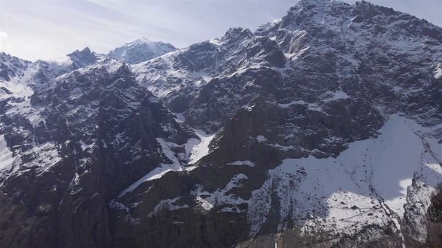 Приключения камер. Нападение деревьев